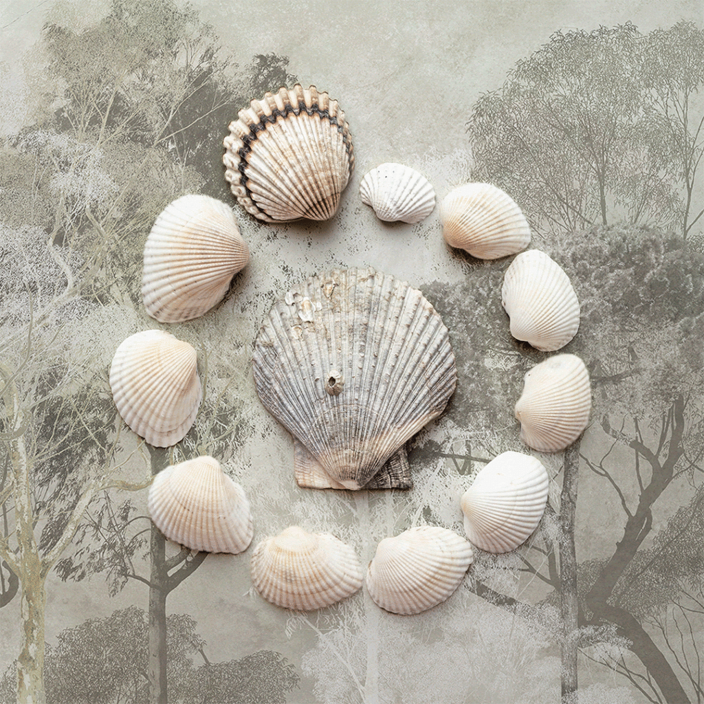 Summer break - Styl'Editions